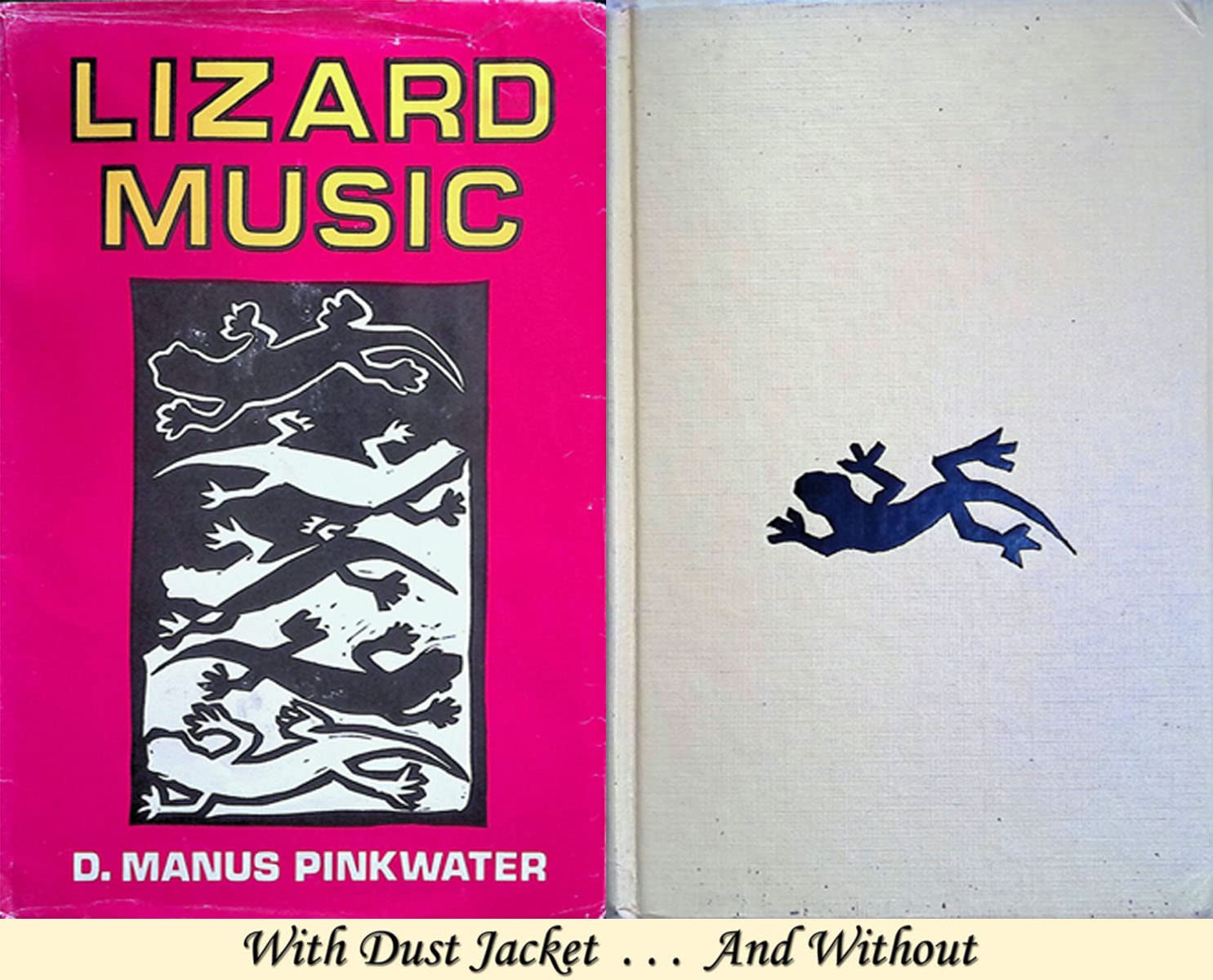 Lizard Music: Pinkwater, Pinkwater, Daniel Manus: 9780396073574: Amazon ...