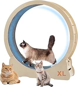 Cat Exercise Wheel Indoor 39-Inch Cat Exercise Wheel - Indoor Cat ...