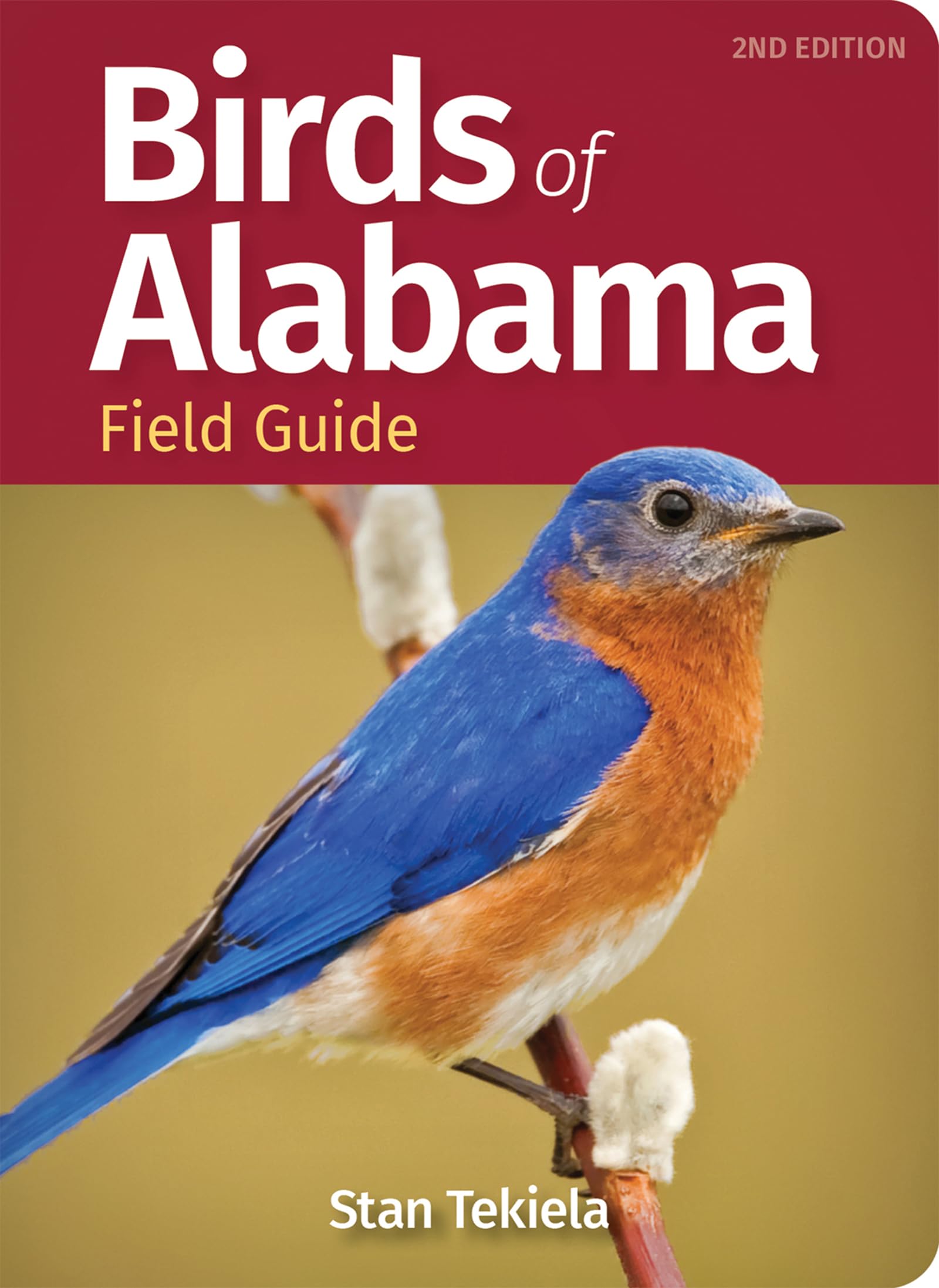 Snapklik.com : Birds Of Alabama Field Guide