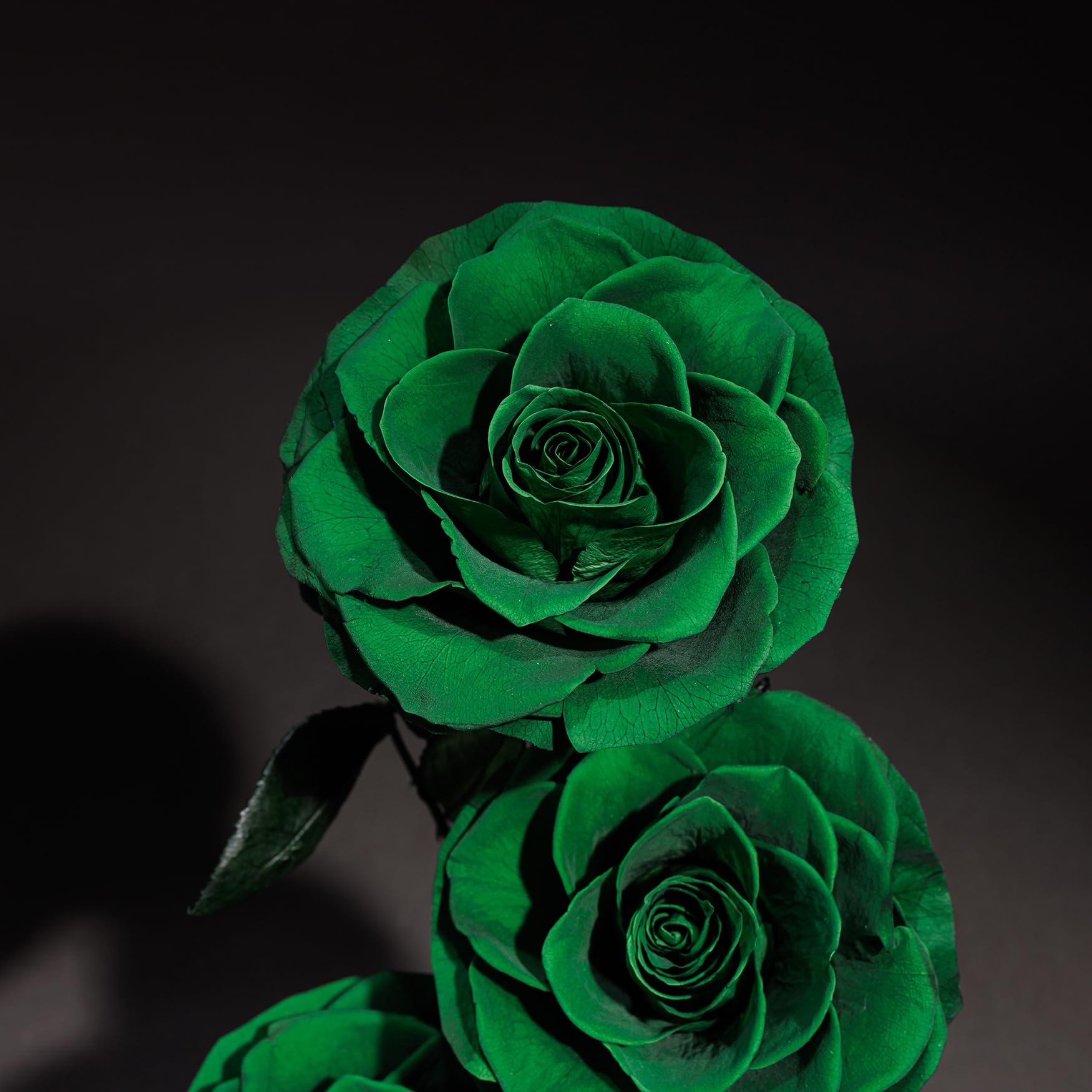 Preserved Flowers in Glass Dome - Forever Real Roses Gifts for Women ...