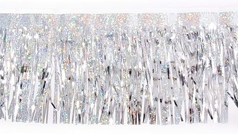 Amazon.com: Anderson's Silver Holographic Fringe, 15" x 10' Shiny ...