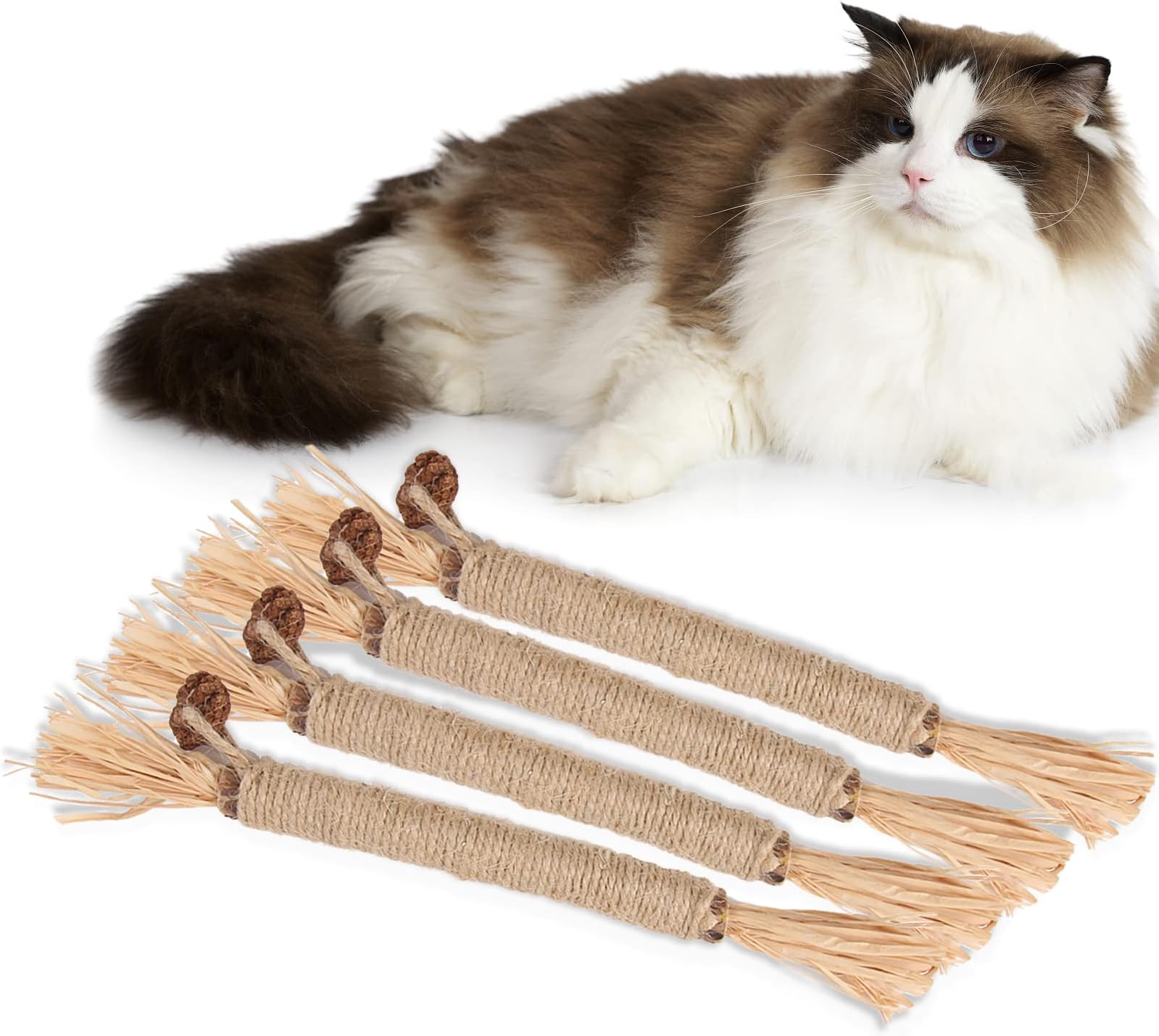 Amazon.com : Potaroma 3 Pack Silvervine Cat Chew Toys and 3 Pcs Soft ...