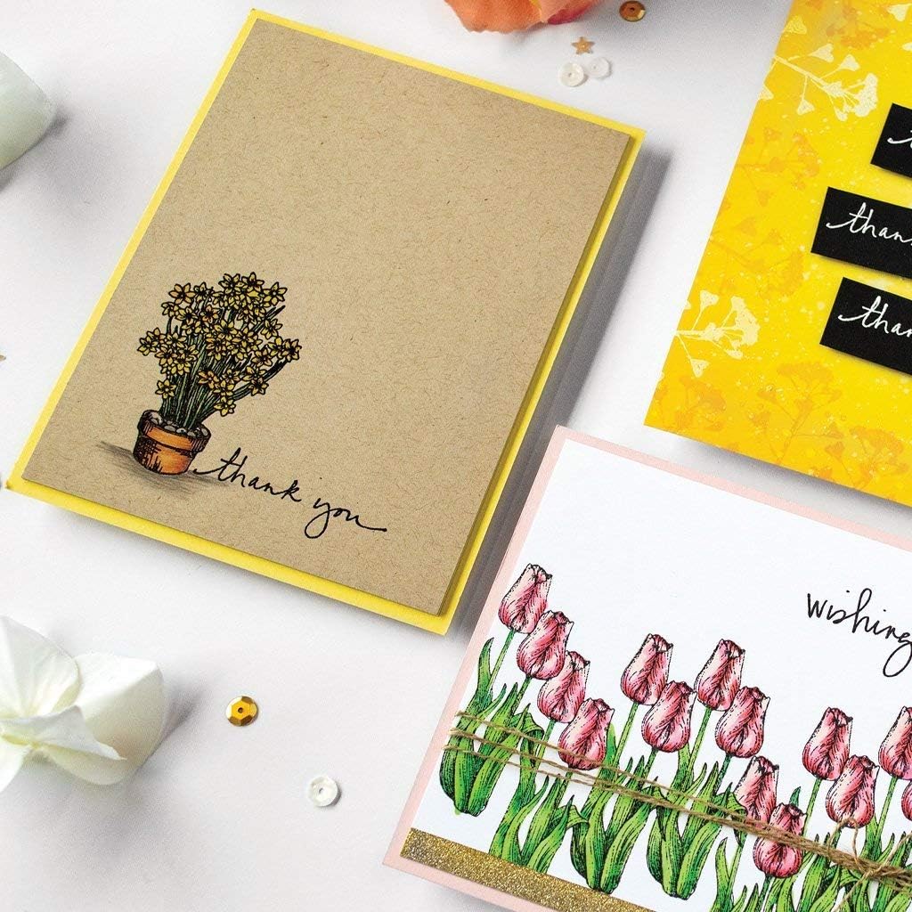 Hero Arts CM359 Clear Stamps, from The Vault Flowers - Instruction Manual