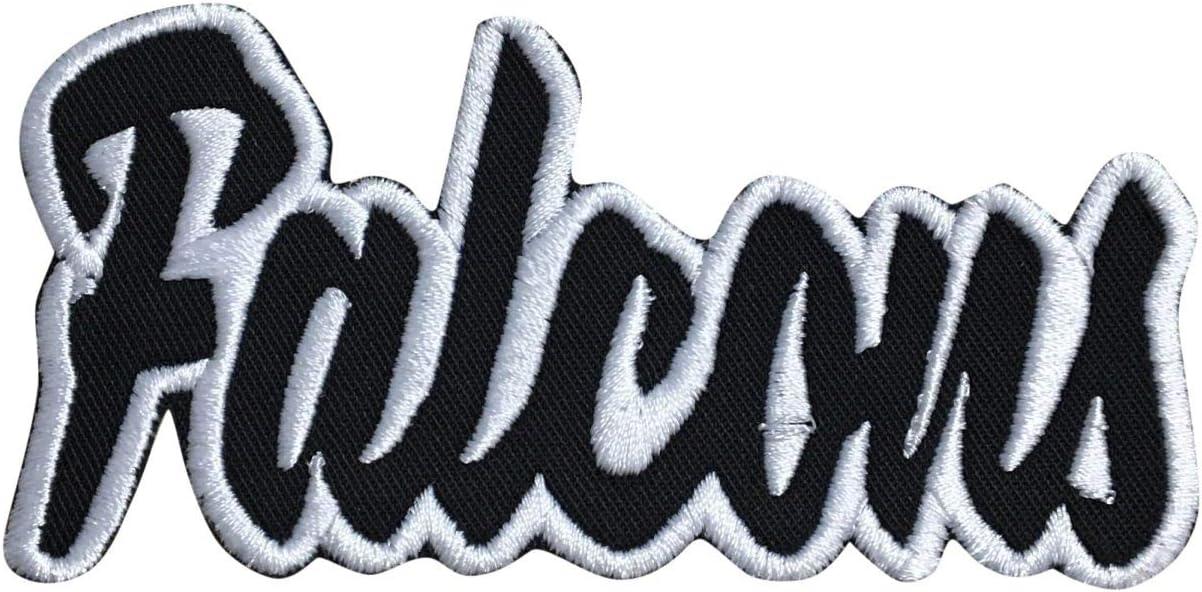 Amazon.com: (2"x4") Falcons, Embroidered, Iron on Patch (Black Twill ...