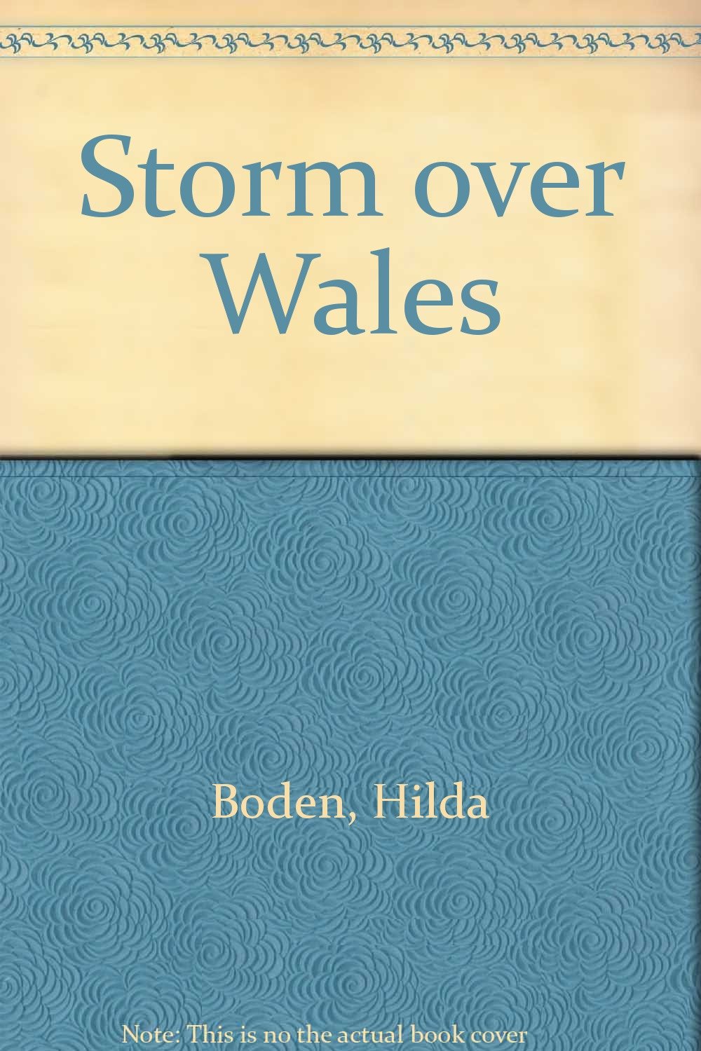 Storm over Wales: Boden, Hilda: Amazon.com: Books