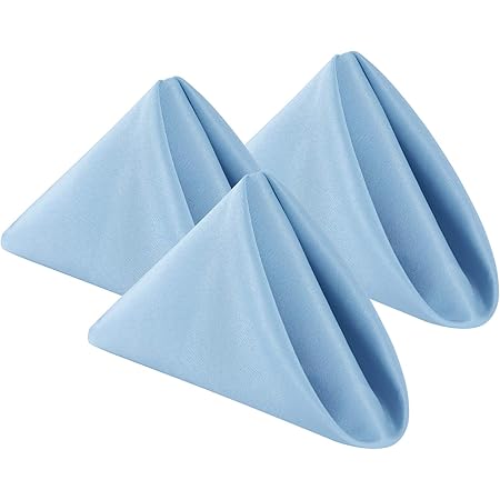 Amazon.com: VACVELT 50 Pack Light Blue Satin Napkins 17x17 Inch Wedding ...