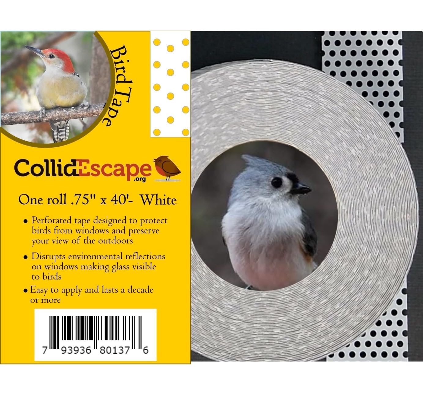 CollidEscape Window Decals to Prevent Bird Strikes Bird Strike ...