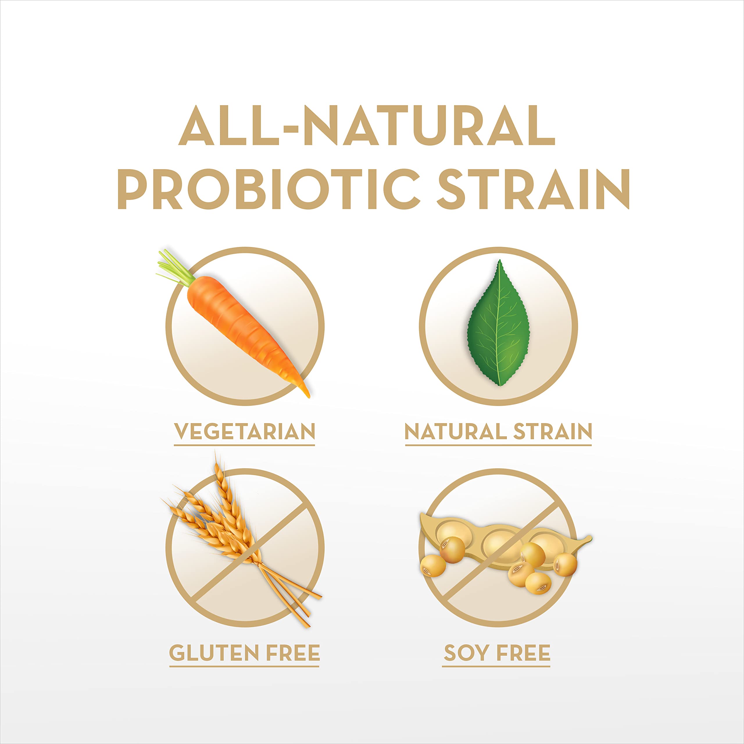 Align Probiotic Pro Formula,...B08B7BWHJ8 | Encarguelo.com