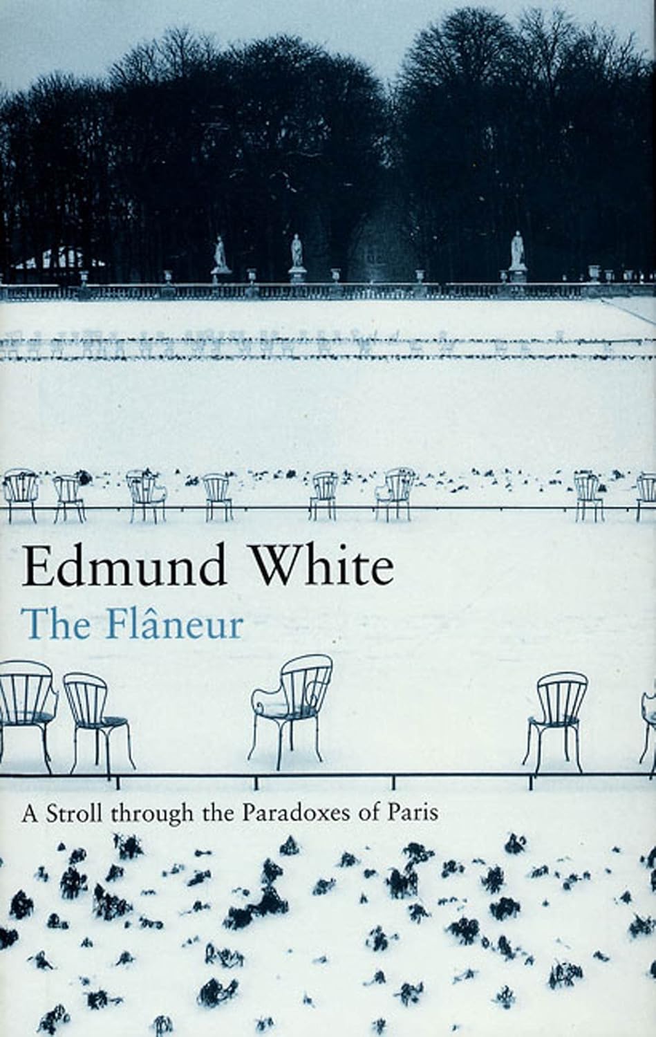 The Flaneur: A Stroll Through the Paradoxes of Paris: White, Edmund ...