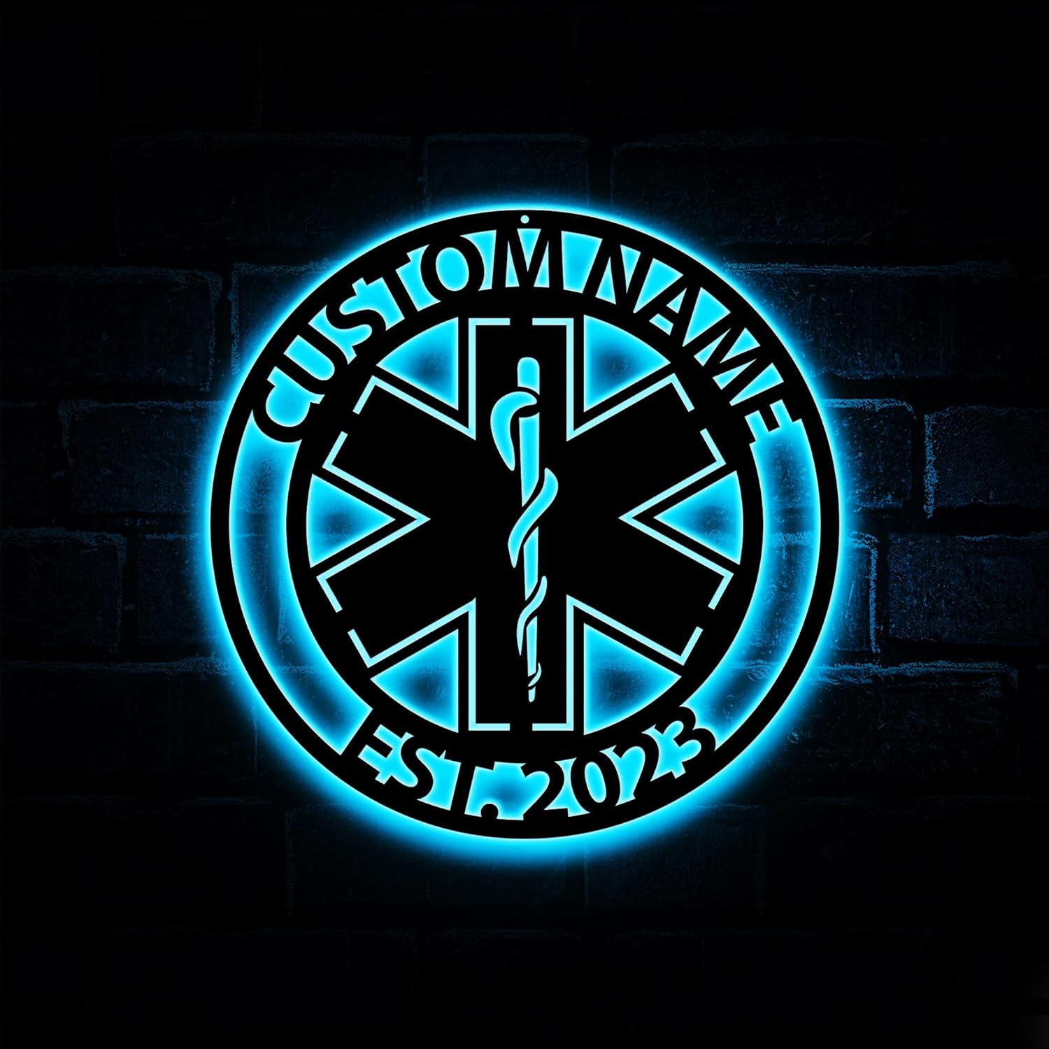 Amazon.com : Personalized Emt Metal Name Sign, Paramedic Sign,Ems ...