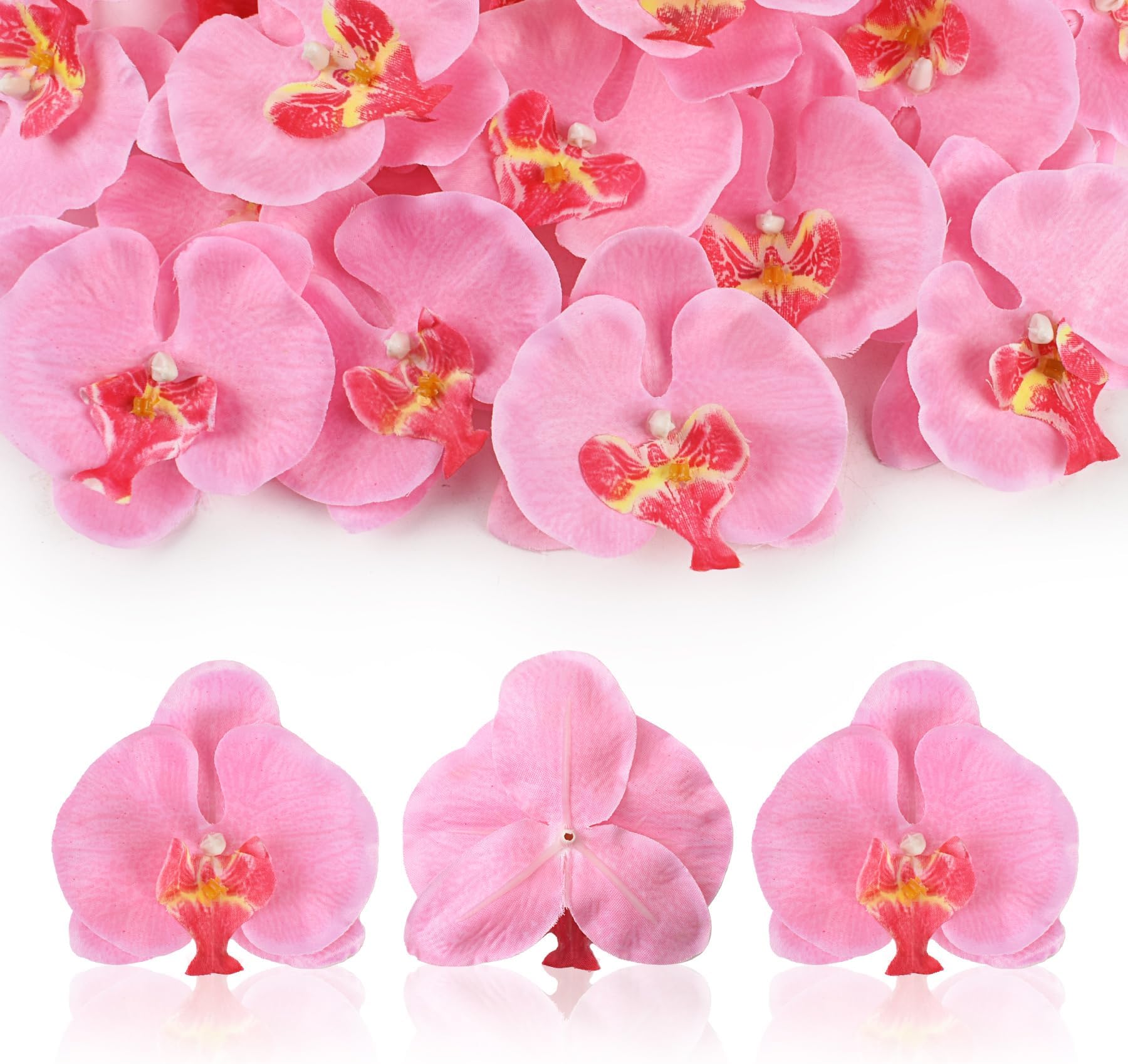 Amazon.com: HOKPA Artificial Silk Phalaenopsis Flower Heads, Fake ...