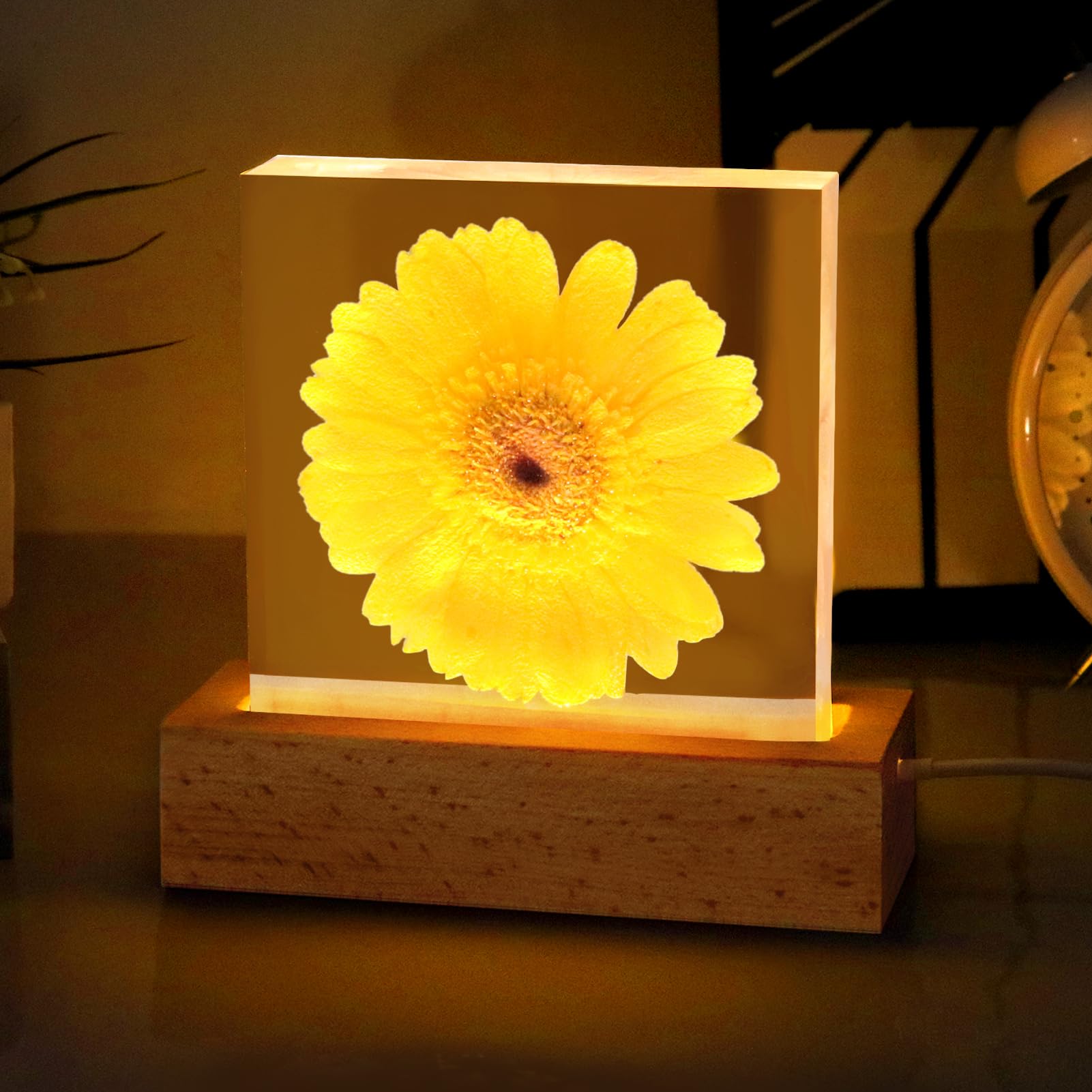 Amazon.com: Natural Gerbera Daisy Night Light, Dimmable Handmade Real ...