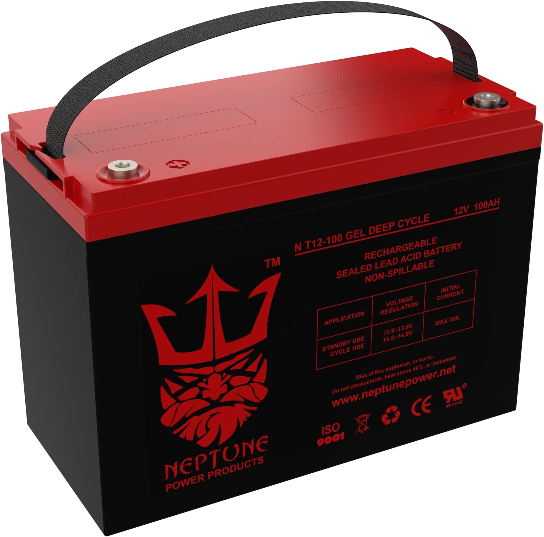 Amazon.com: Neptune Power Products 12V 100AH Deep Cycle Hybrid Gel ...