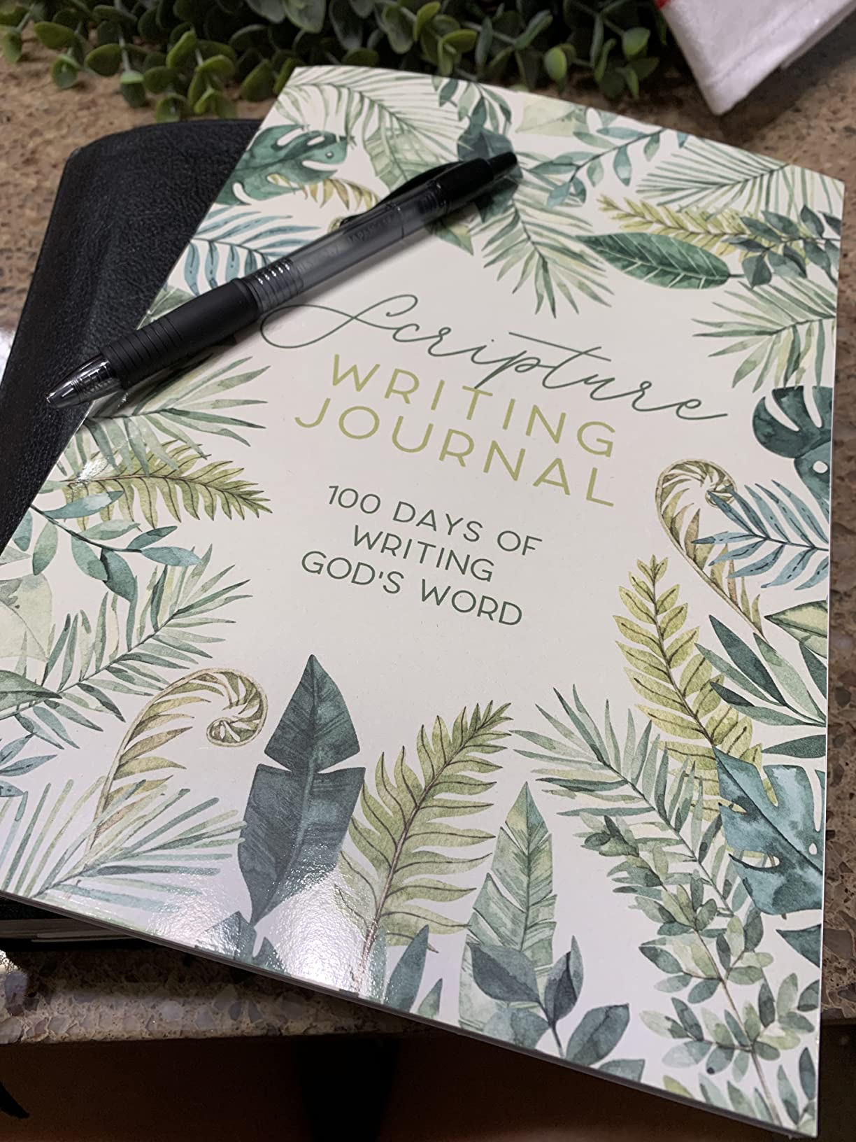 Scripture Writing Journal - 100 Days of Writing God's Word: Write the ...