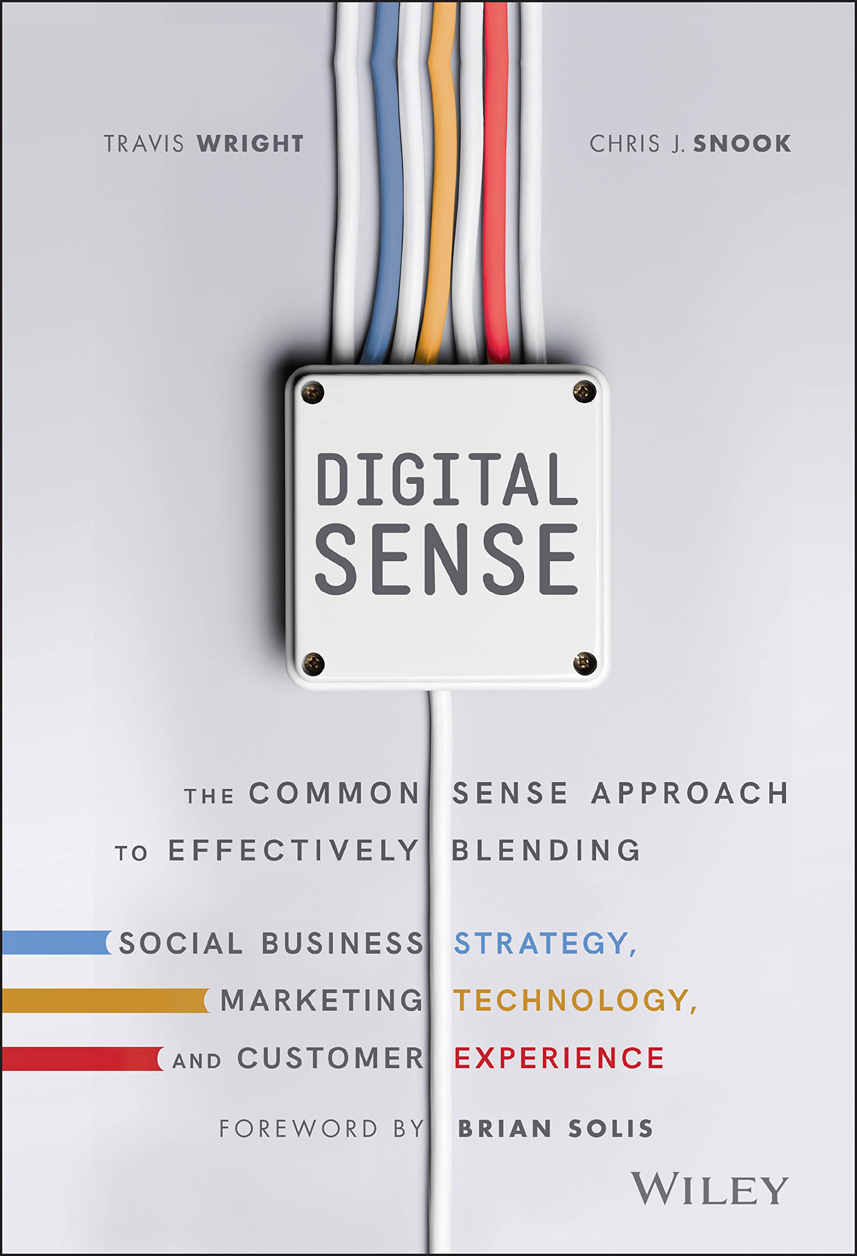 Digital Sense: The Common Sense Approach to Effectively Blending Social ...