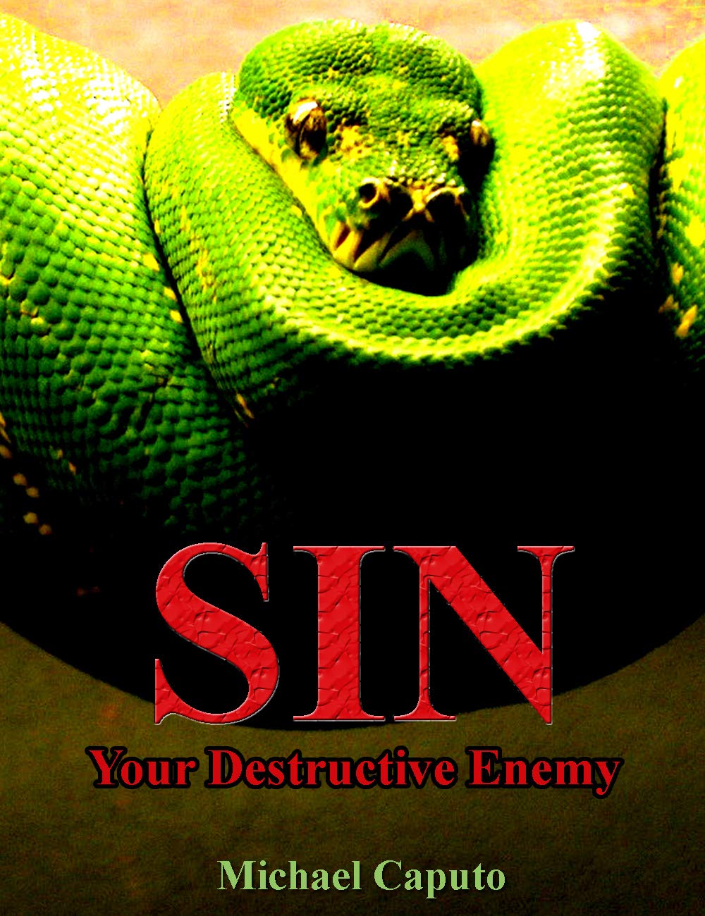 Amazon.com: Sin: Your Destructive Enemy: Understanding and Defeating ...