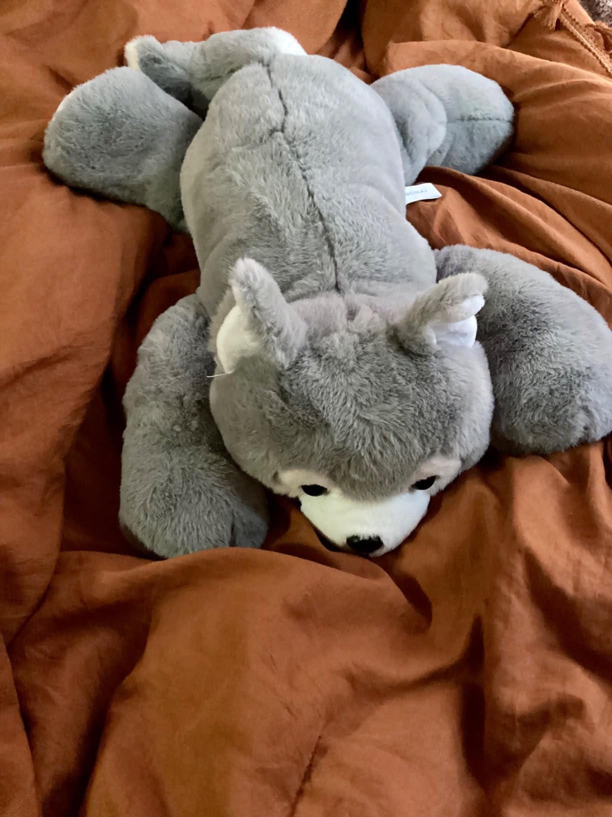 Amazon.com: GCOUU®丨 20-inches Grey Dog Plush - 2.2 LB Weighted Stuffed ...