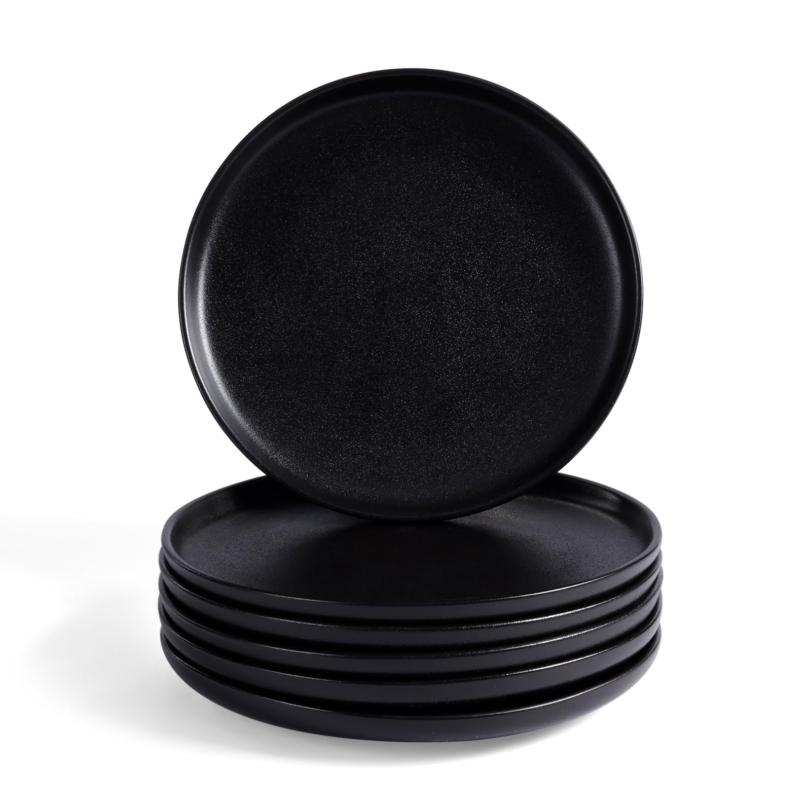 Amazon.com | ZEBERBO Ceramic Dinner Plates Set of 6, Ceramic Plates Set ...