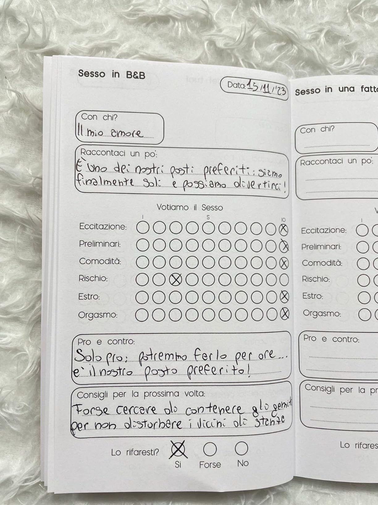 101 Posti dove fare Sesso prima di Morire : No-sense, Libri: Amazon.it ...