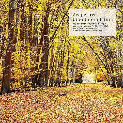 Play CCM piano collection with a walk of Agape tree by VARIOUS ARTISTS ...