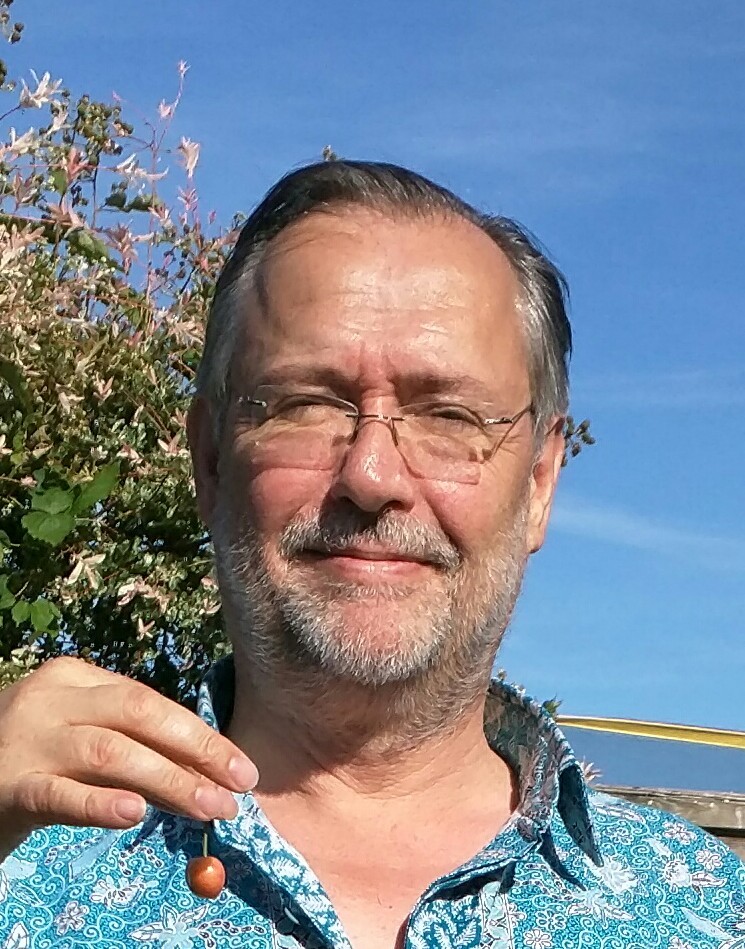 Amazon.co.uk: Rupert Wegerif: books, biography, latest update