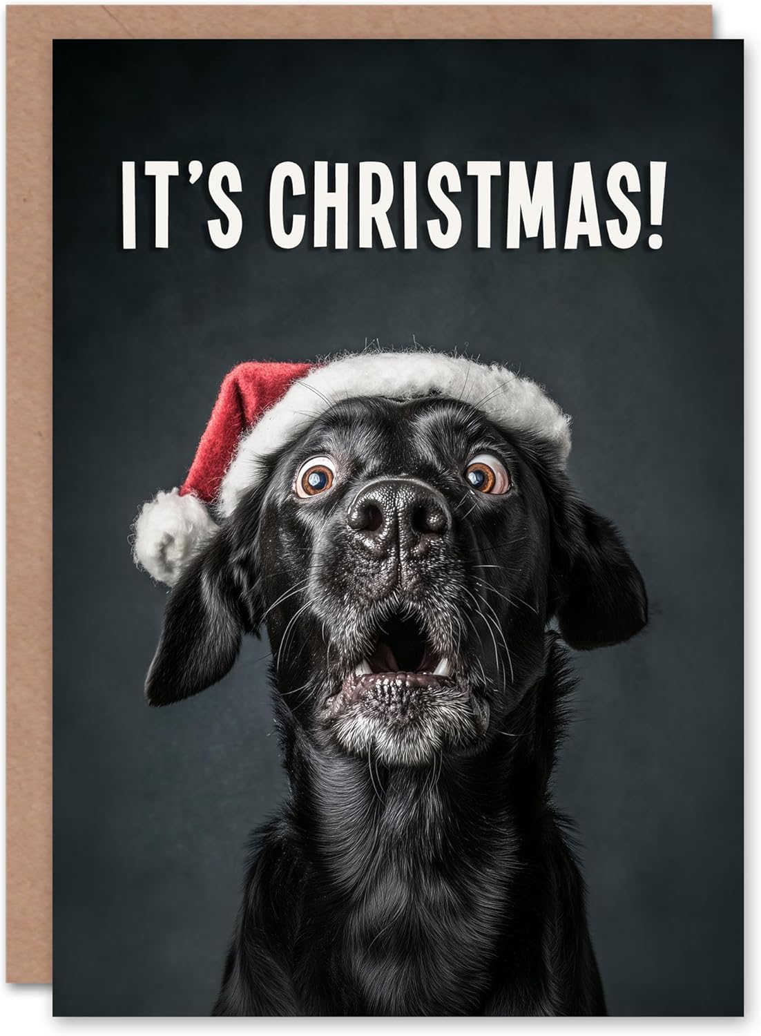Amazon.com: Artery8 Christmas Card Black Labrador Photograph Dog in ...