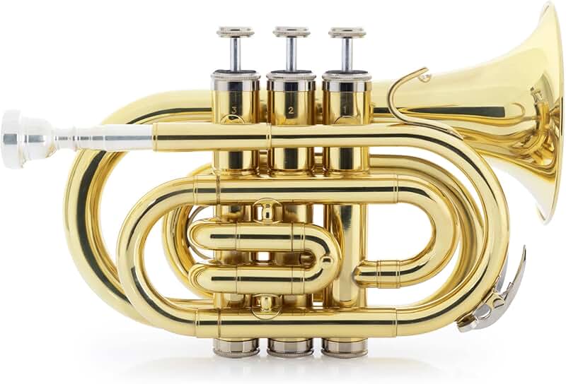 Amazon.co.uk: Trumpets - Trumpets / Brass: Musical Instruments & DJ