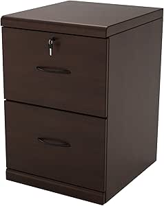 Amazon.com: Z-Line Designs 2-Drawer Vertical File Espresso Cabinet with ...