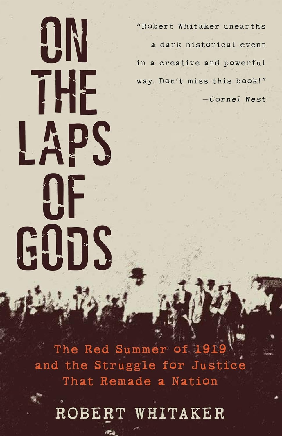 On the Laps of Gods: The Red Summer of 1919 and the Struggle for ...
