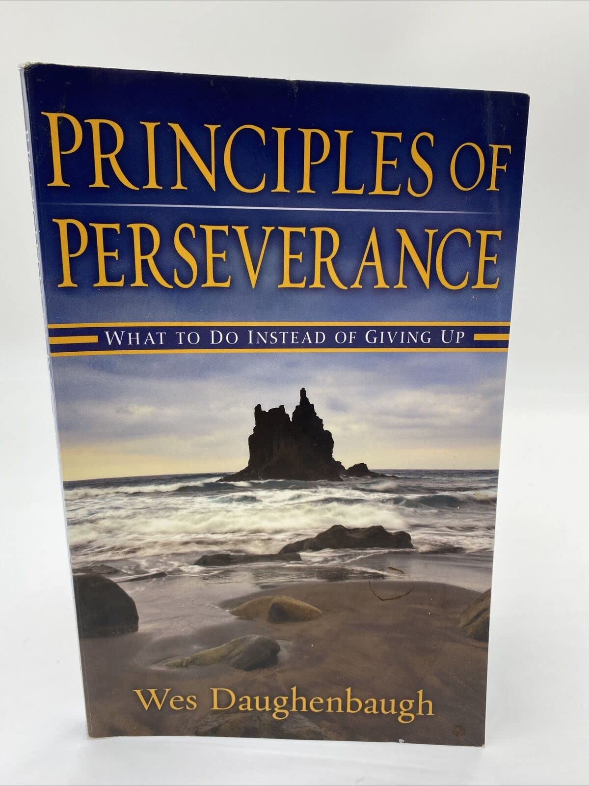 Principles Of Perserverance: What to Do Instead of Giving Up ...