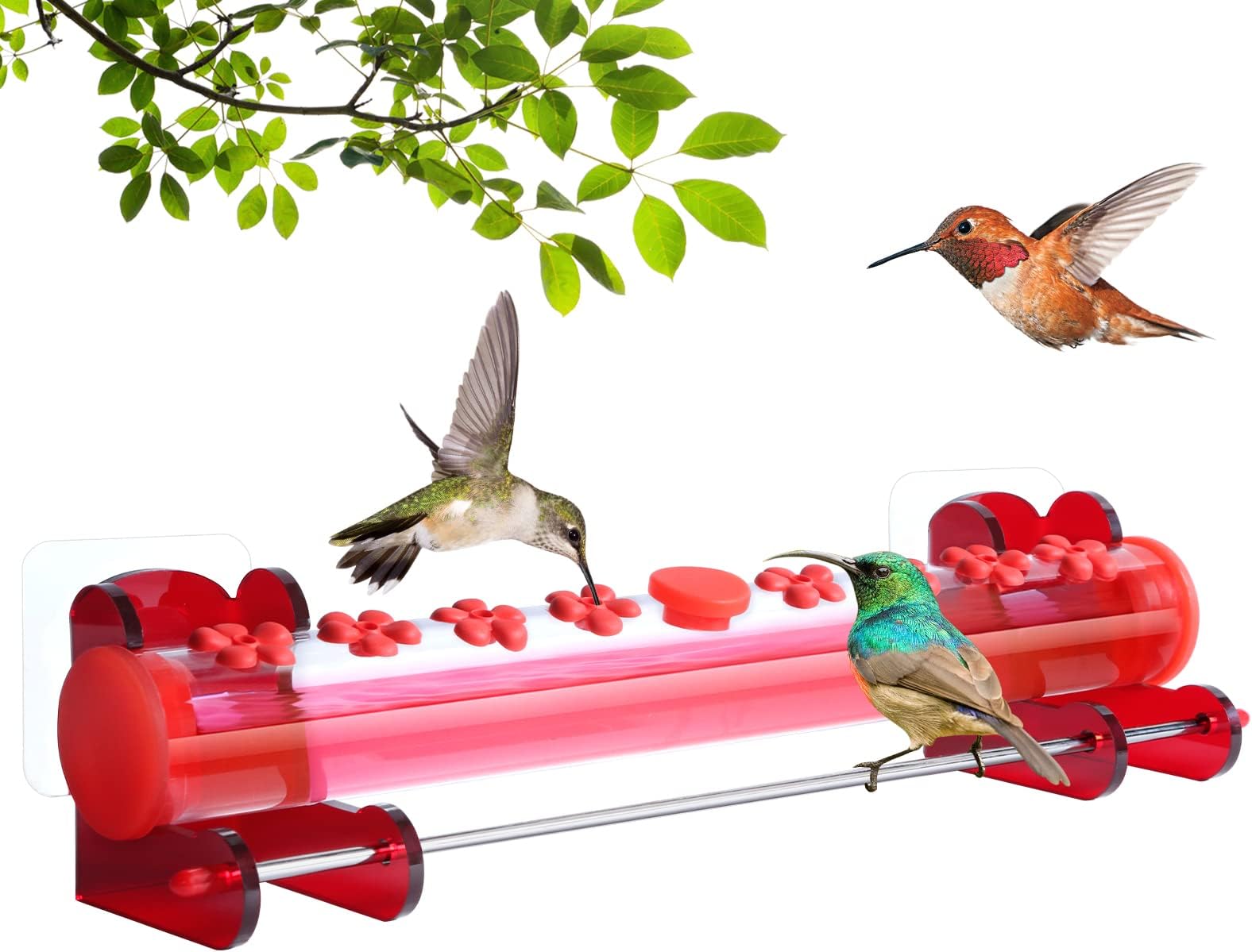 Amazon.com : Hummingbird Feeder Window with Hinge Lid and Hanging ...