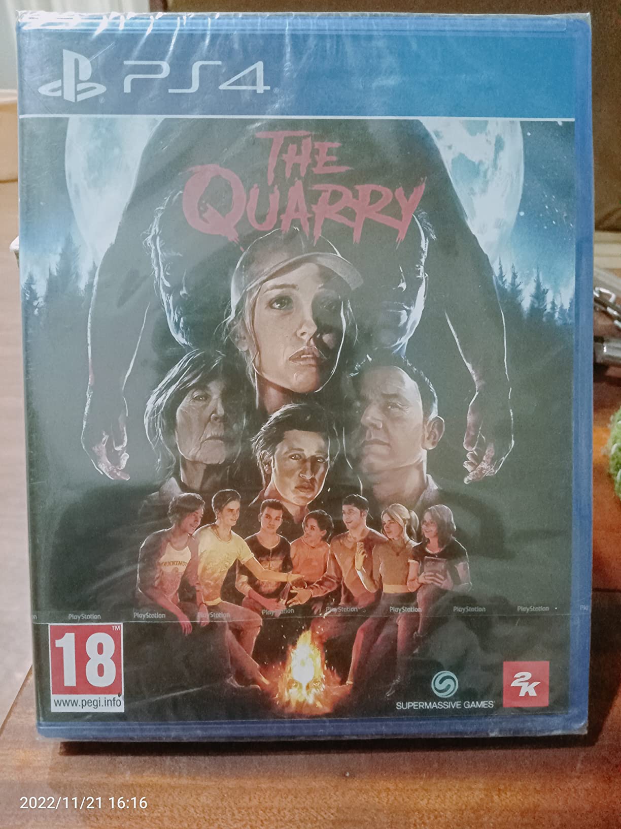 Buy The Quarry | Standard Edition | PS4 Game (PlayStation 4) Online at ...