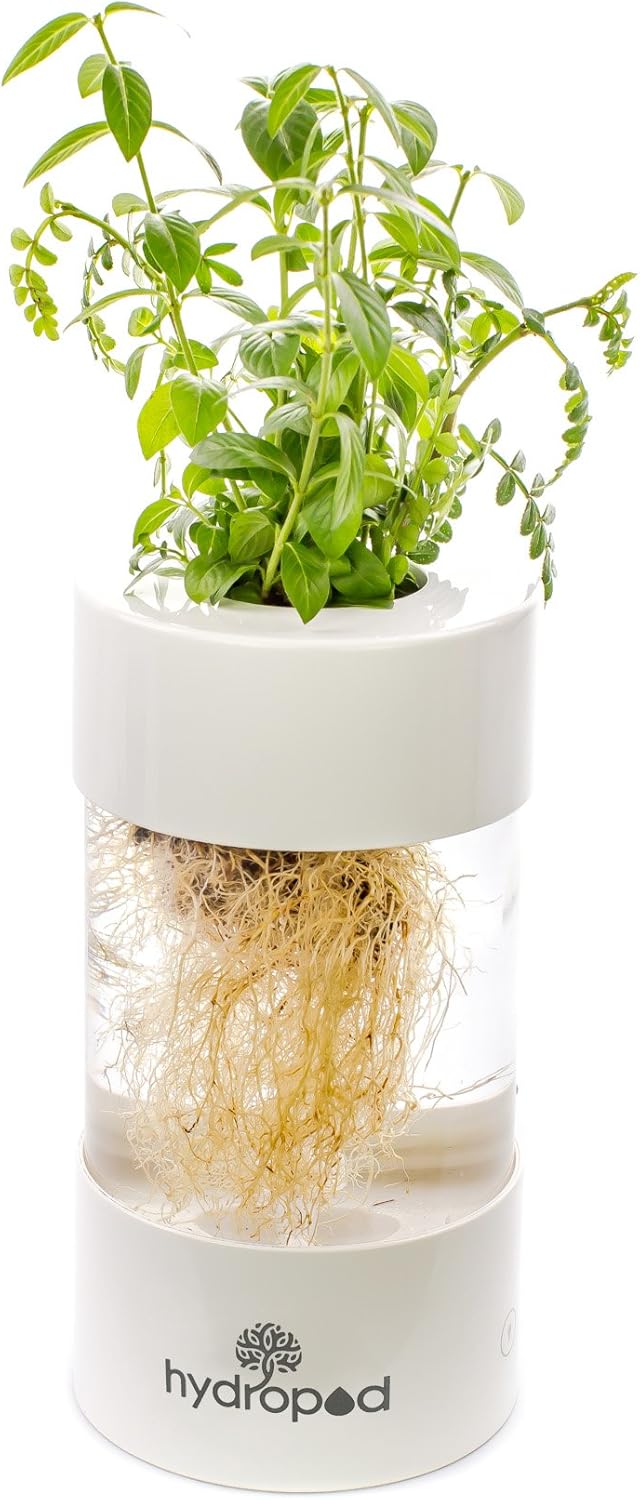 Hydropod Hydroponic Indoor Growing Kit - White : Amazon.ca: Patio, Lawn ...
