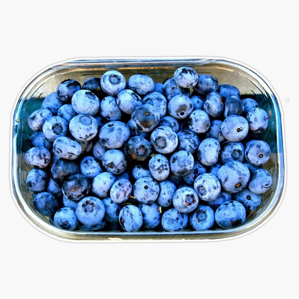 Amazon.com - Blueberries Sticker Vinyl Bumper Sticker Decal Waterproof 5"