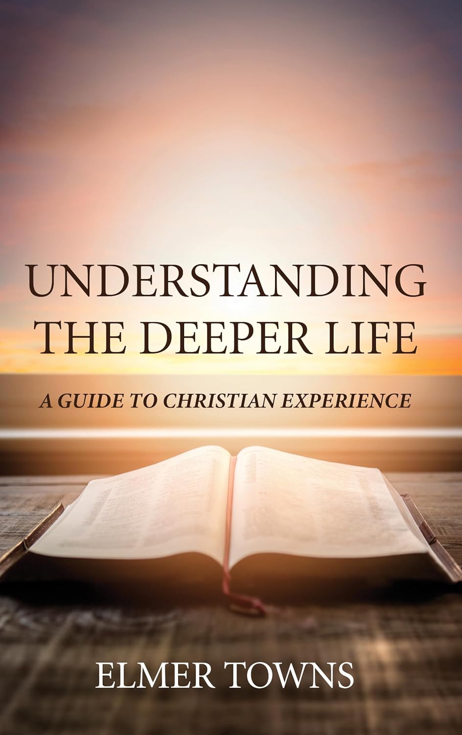 Understanding the Deeper Life: Towns, Elmer: 9781532680304: Amazon.com ...