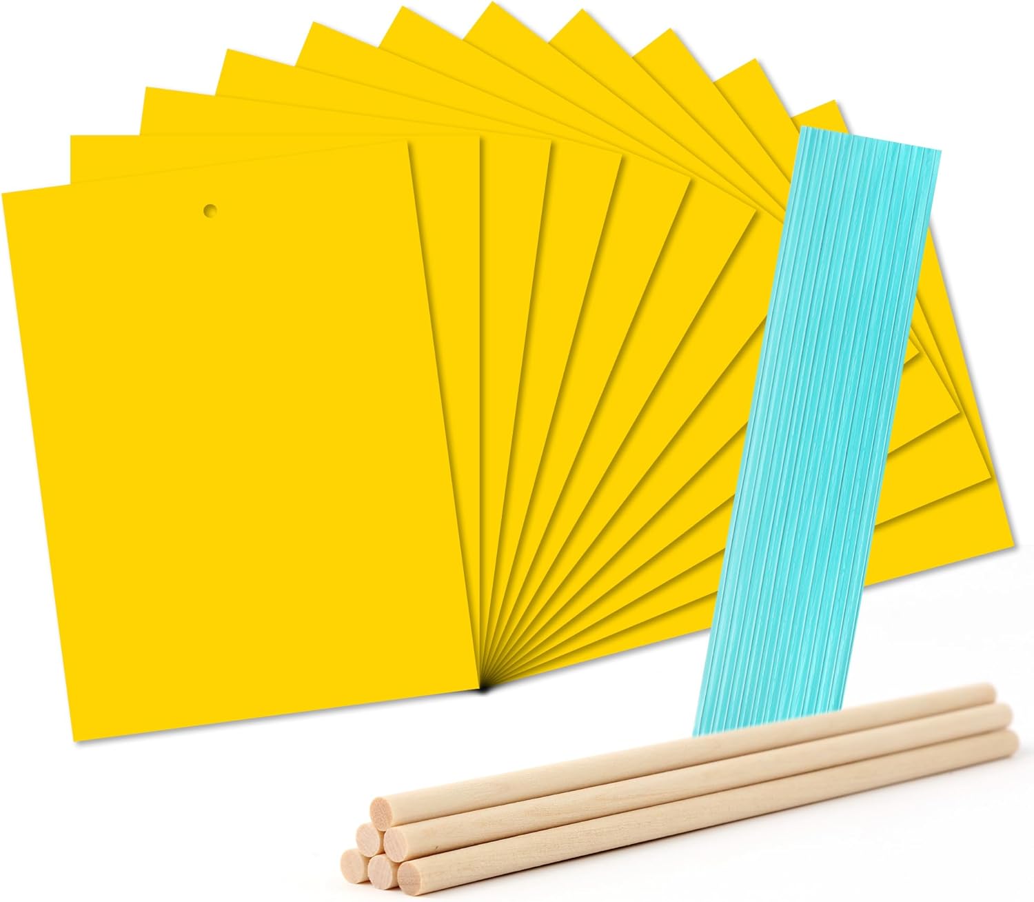 Amazon.com : Landisun Fruit-Fly Sticky-Trap Outdoor Indoor Yellow ...