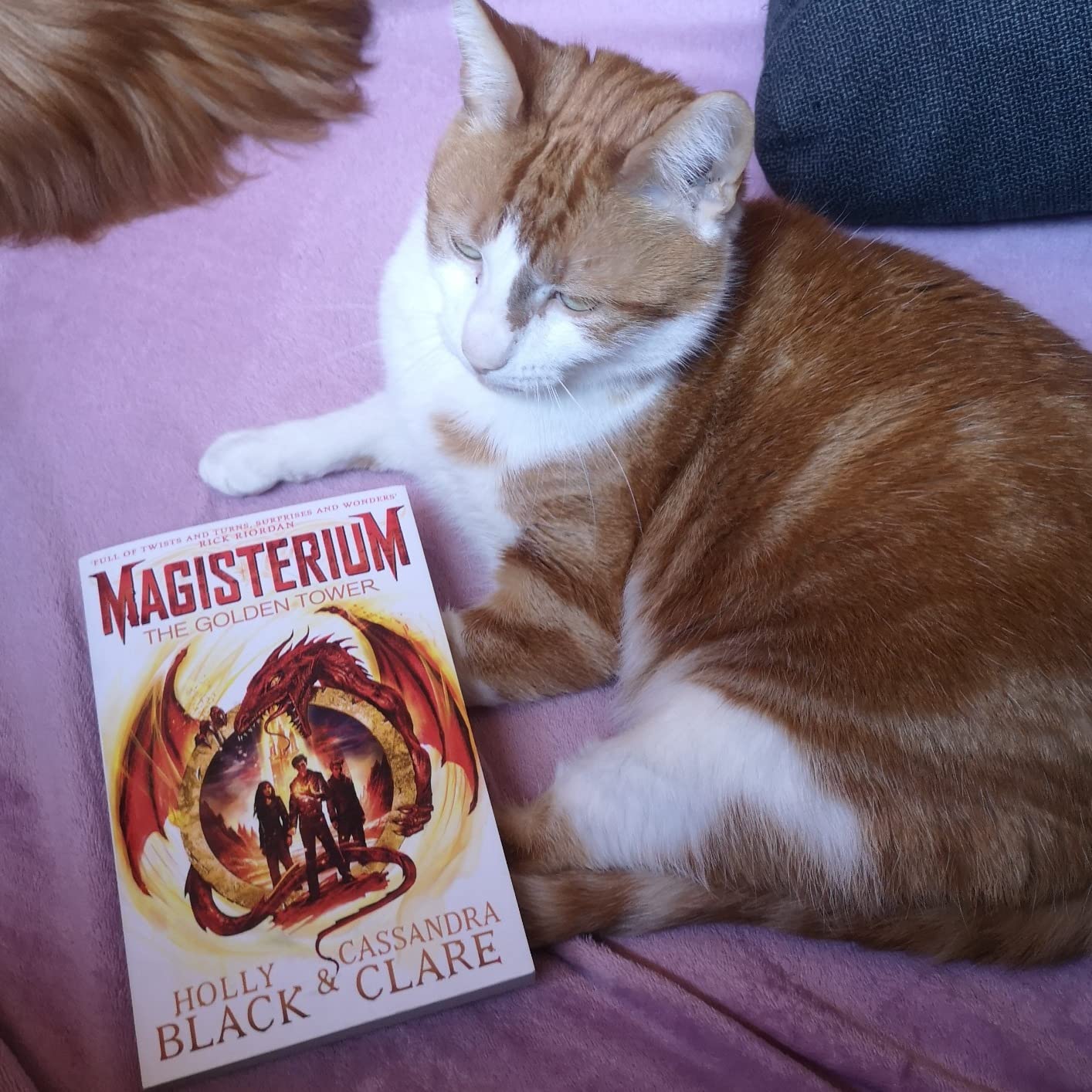 Magisterium: The Golden Tower: 5 : Black, Holly, Clare, Cassandra ...