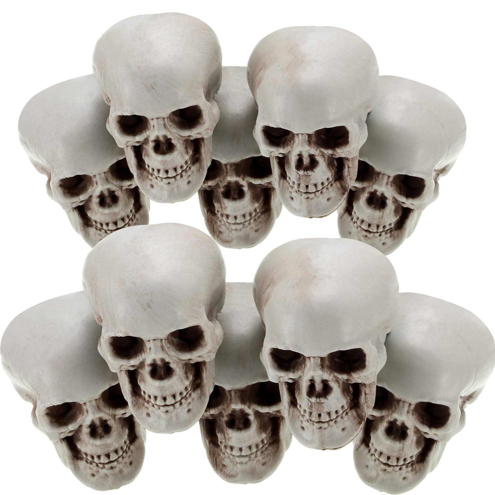 Halloween Skeleton Head