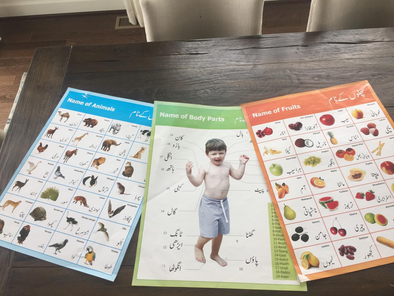 Amazon.com: Learn Urdu - For Kids and Beginners [The pack contains Urdu ...