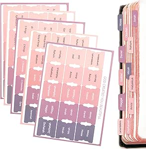 Amazon.com : OIIKI Laminated Bible Tabs, 75PCS Bible Tabs for Women, Pink Bible Index Tabs, Old ...