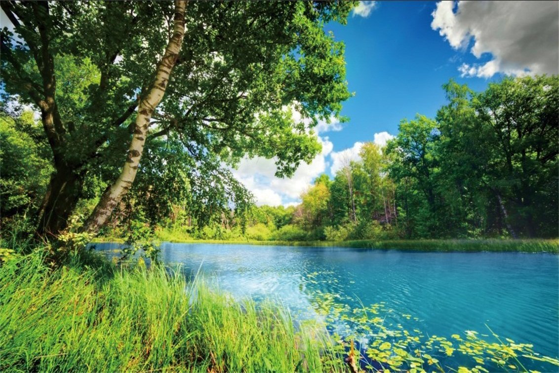 Amazon.com : CSFOTO Polyester 6x4ft Park Scenery Backdrop River Blue ...