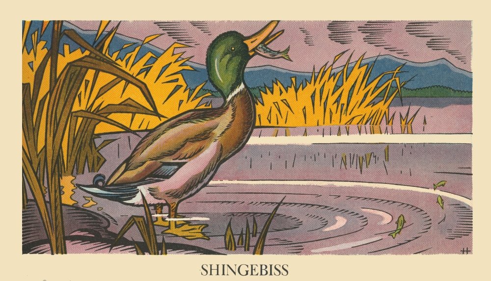 Buy A duck swallows a fish Illustration from the childrens book Stories ...