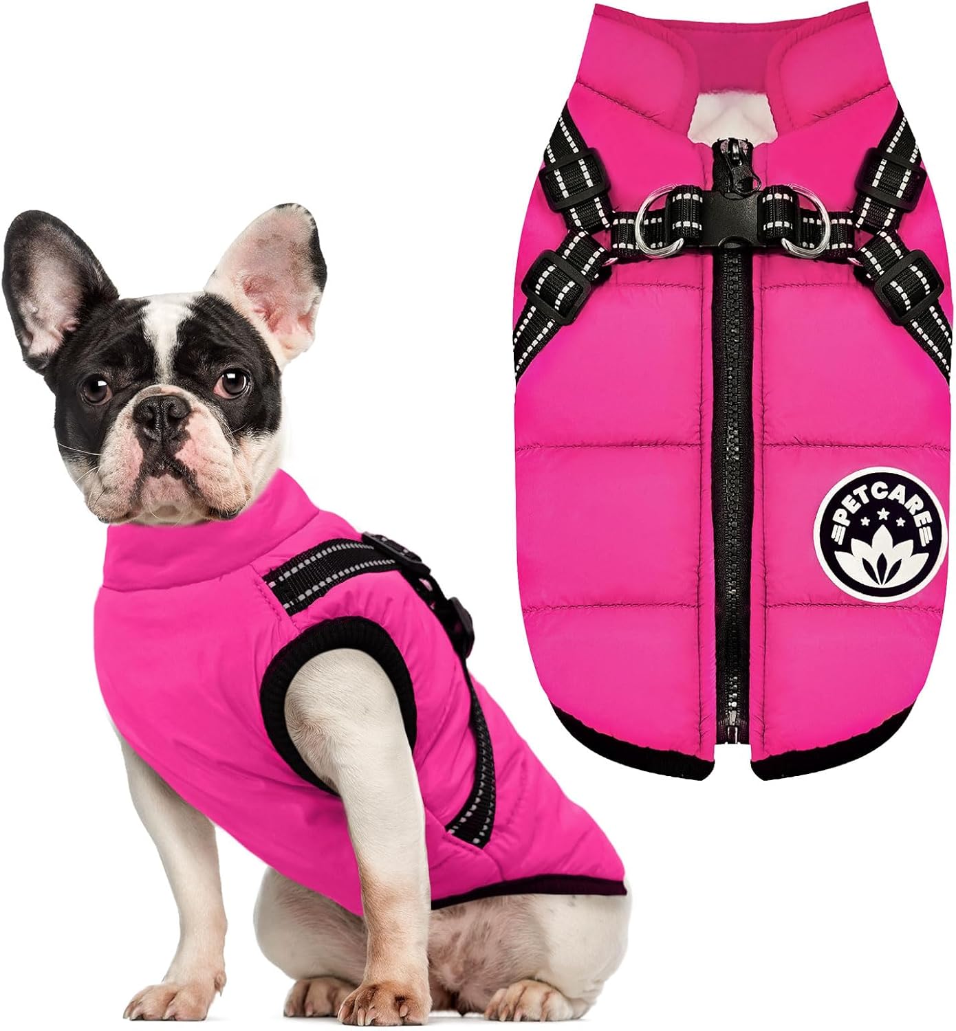 Amazon.com : PETCARE Winter Dog Coat With Built-in Harness - Waterproof ...