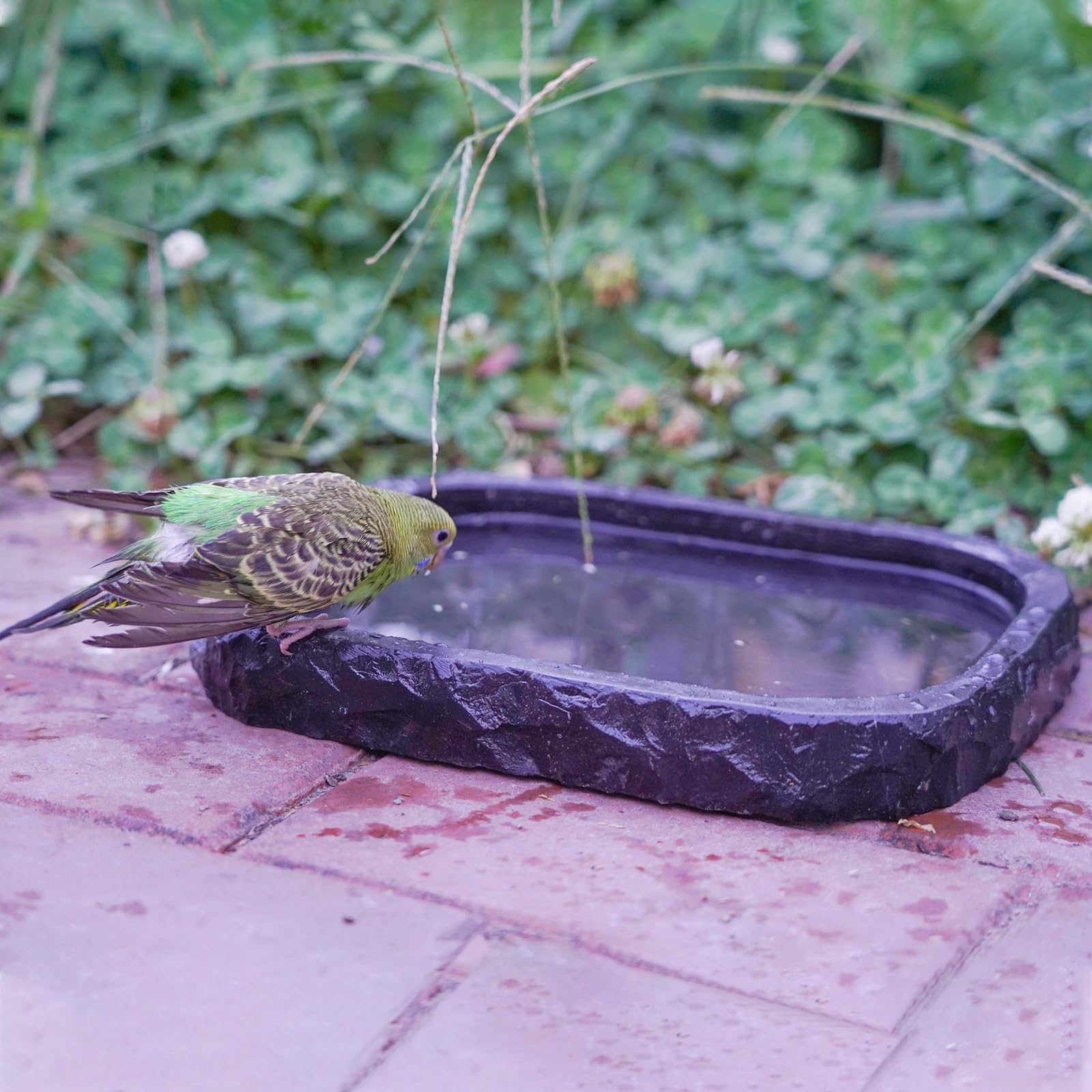 Amazon.com: TOWDREU Handmade Natural Stone Bird Bath, Ground Bird Baths ...