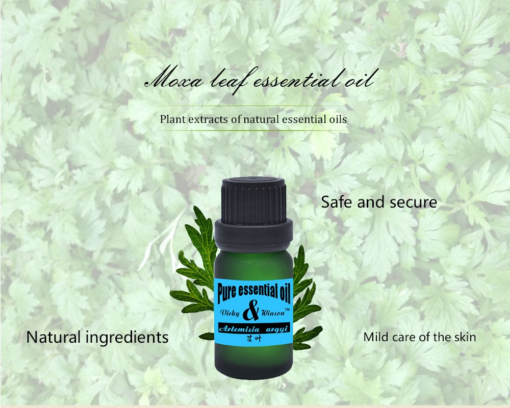 Atoz prime Artemisia argyi essential oil 10ml Absinthium Folium oil 100 ...