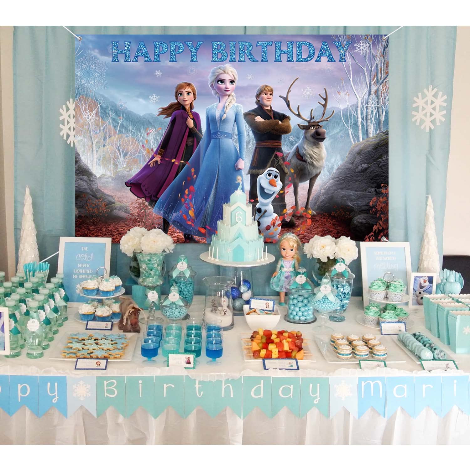 Buy YanXi Frozen Backdrop Birthday Banner for Girl Frozen Birthday ...
