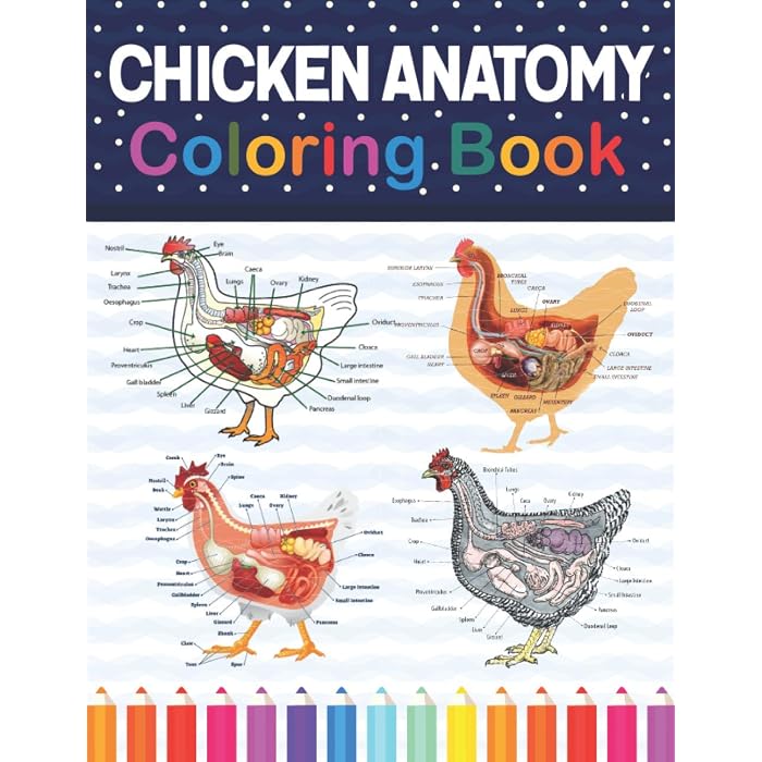 Buy Chicken Anatomy Coloring Book: Animals Physiology Self-Quiz Color ...