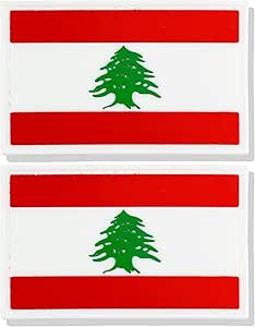 Amazon.com: stidsds 2 Pack Lebanon Flag Patch Lebanese Military Tactical Patch Lebanon Flags PVC ...