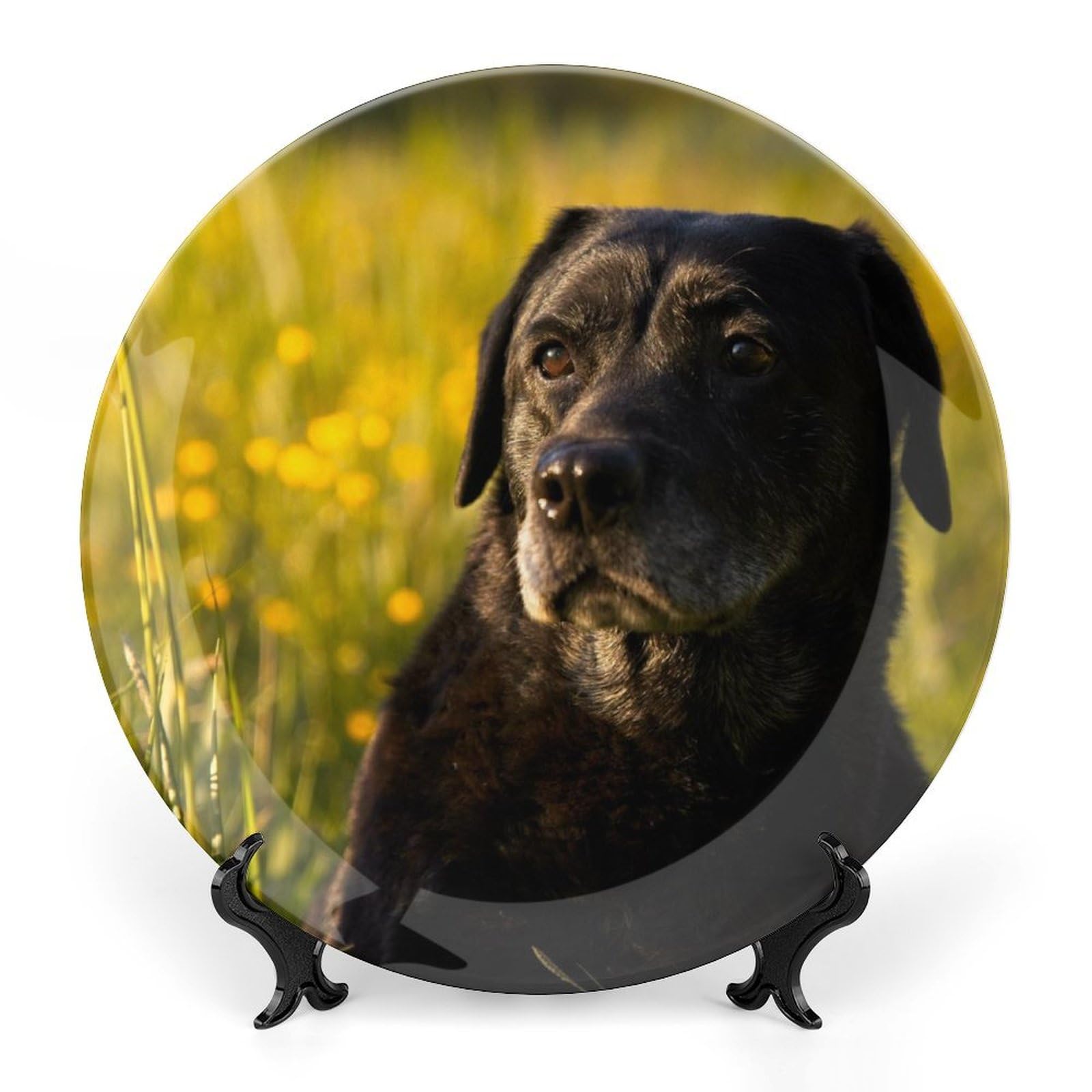 Amazon.com | Decorative Plate for Wall Hanging, Labrador Lab Black Dog ...