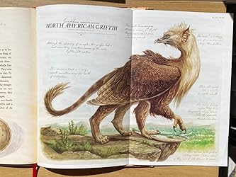 Arthur Spiderwick's Field Guide to the Fantastical World Around You ...